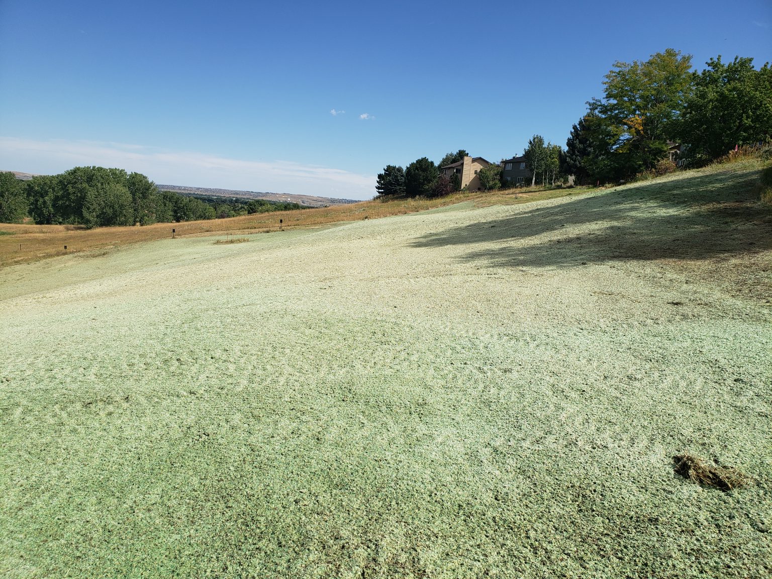 Services - A1 Affordable Hydroseed